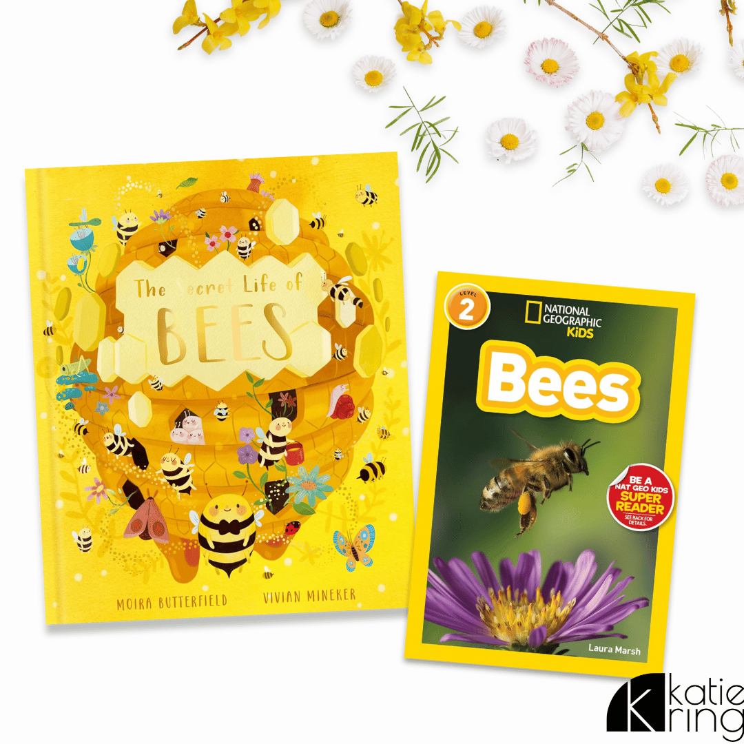 Fun and Easy Bee Activities for the Classroom - The Primary Style