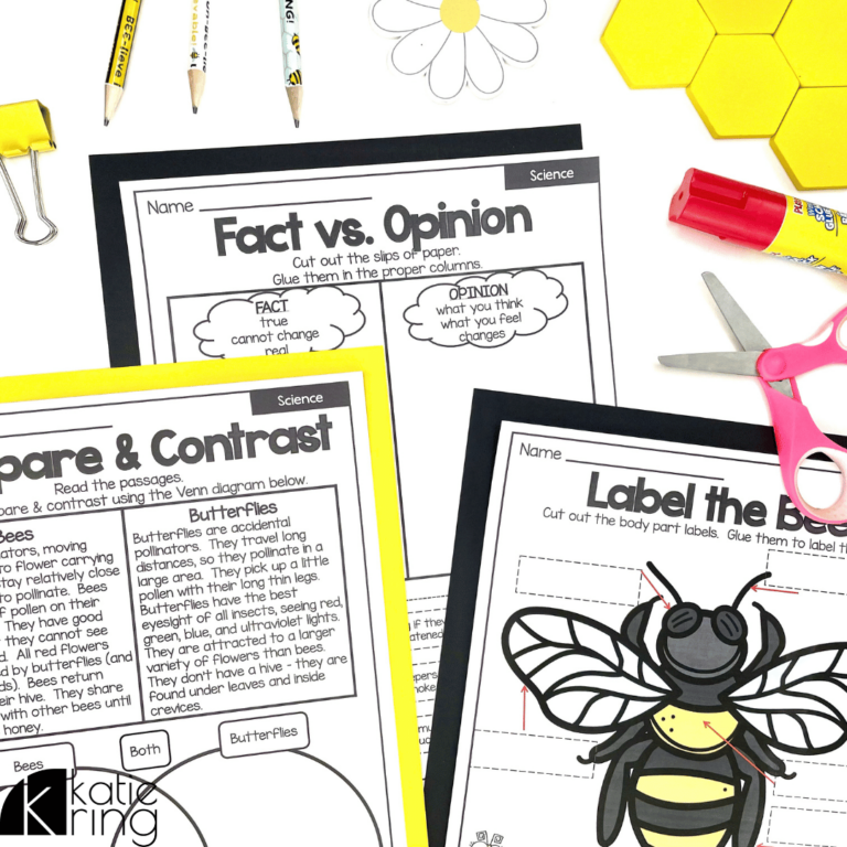 Fun and Easy Bee Activities for the Classroom - The Primary Style
