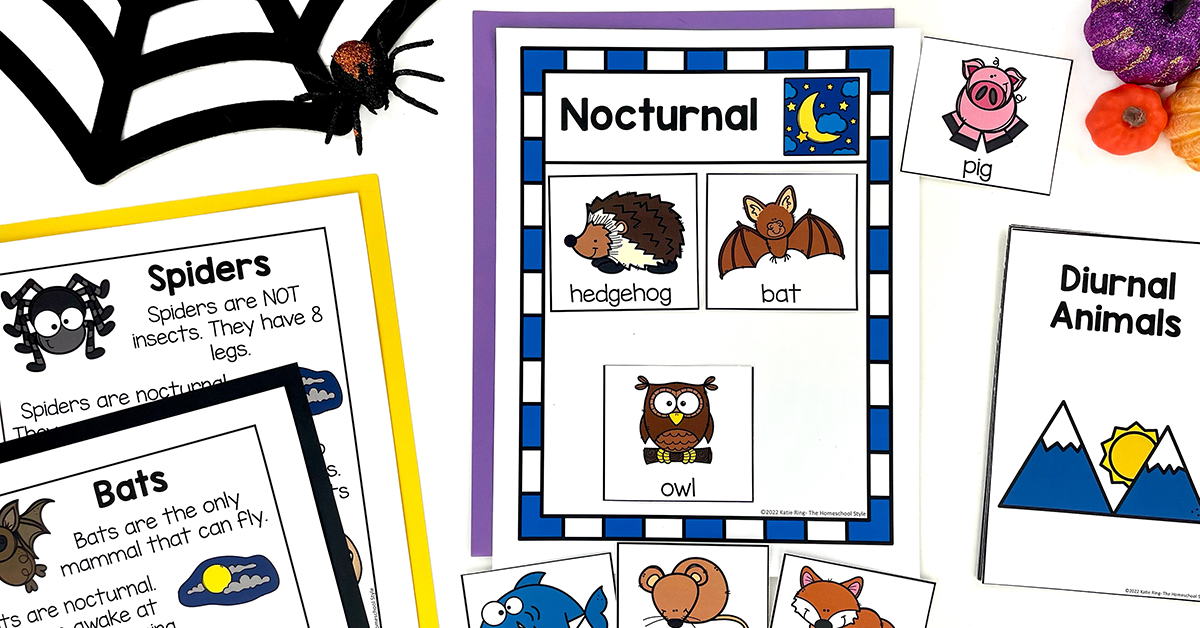 Fun Bat and Spider Activities for the Classroom - The Primary Style