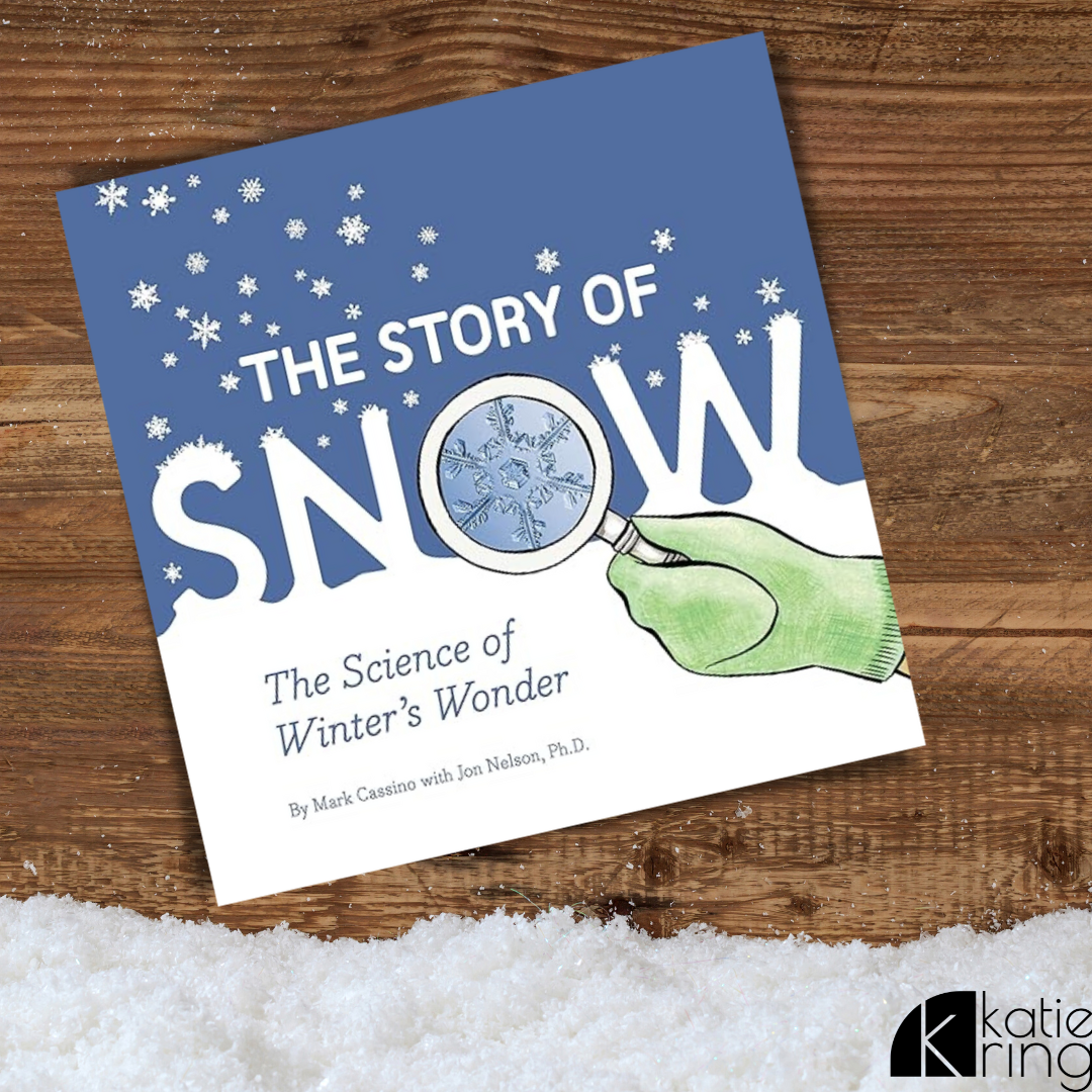 My Favorite Picture Books About Snow - The Primary Style